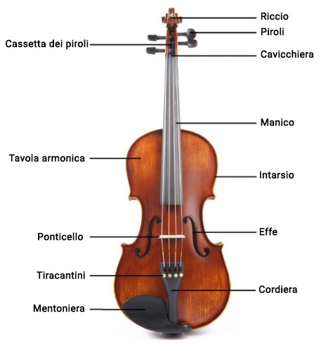 Struttura del violino e dei suoi componenti